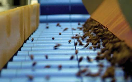 Manufacturing Automation - Select Harvests