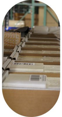 Physical Inventory Count Guide