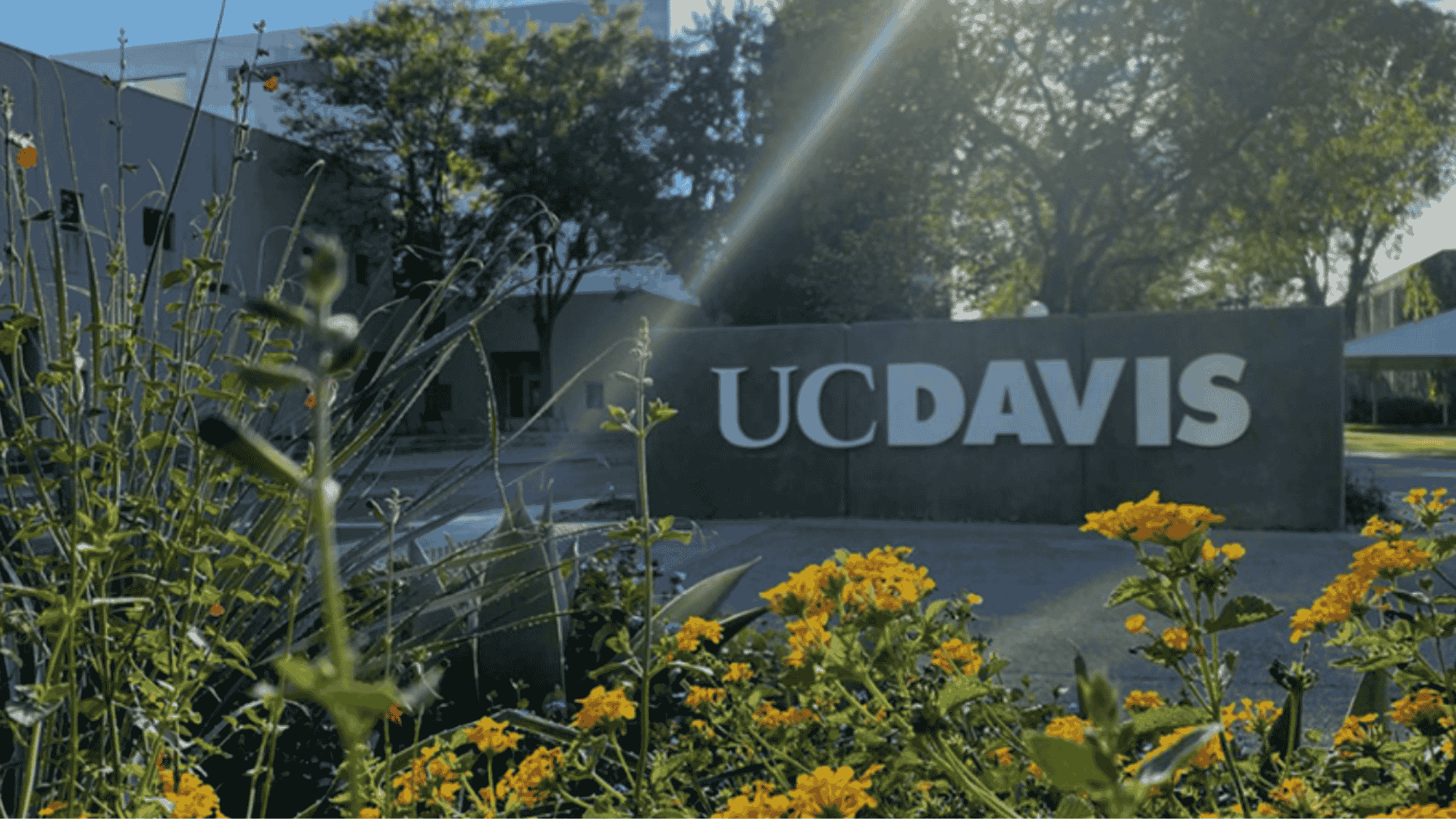 University of California Davis Logistics